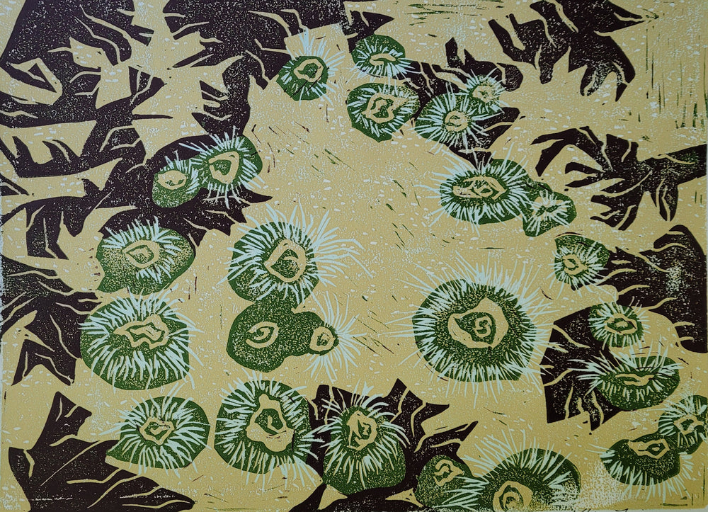 Allison Tremain - Canadian Artist & Printmaker Nature in Living Colour ...