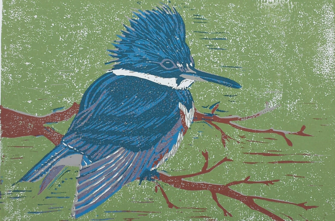 Kingfisher – Allison Tremain Printmaker